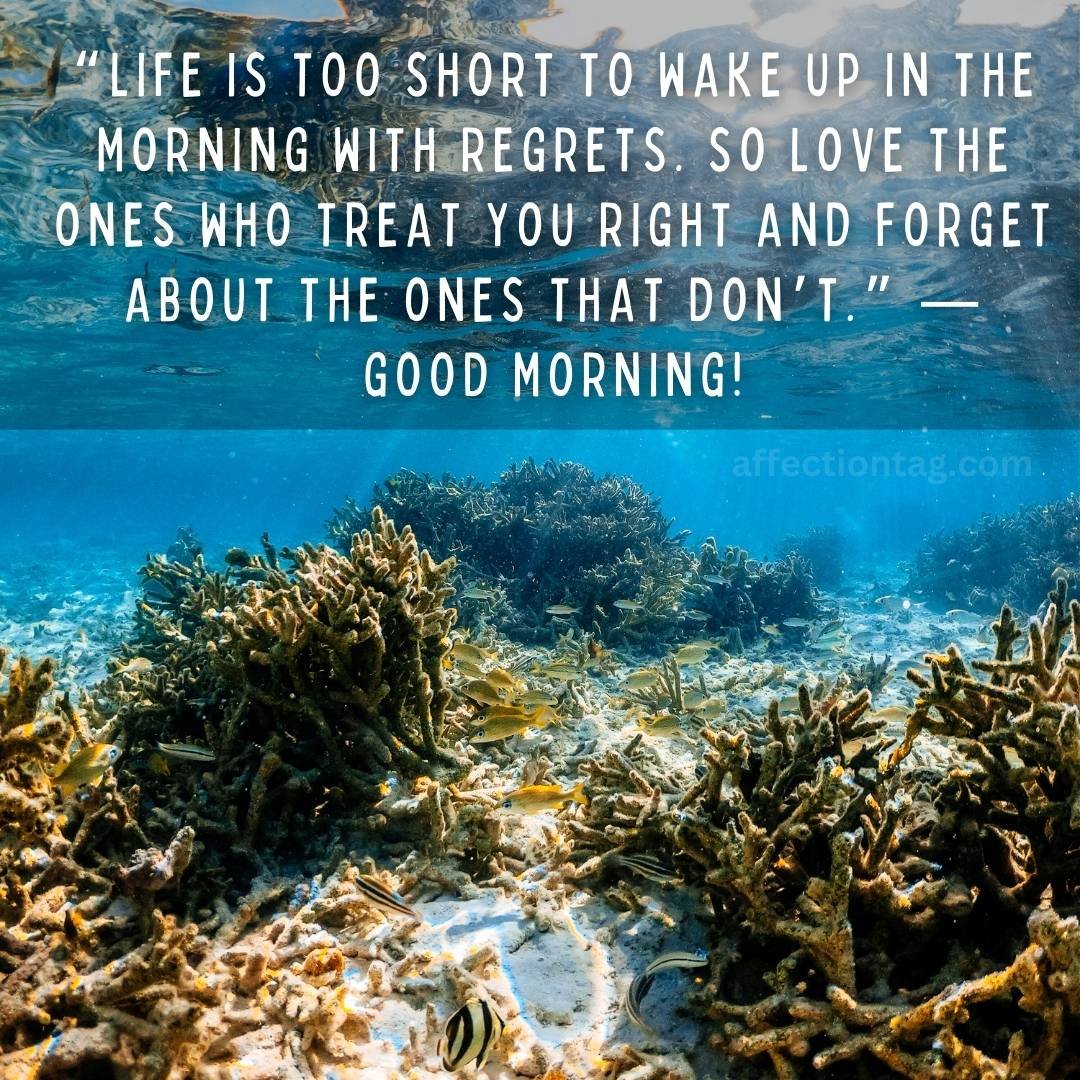 Good Morning Quotes - Inspiring Words to Start Your Day Right ...