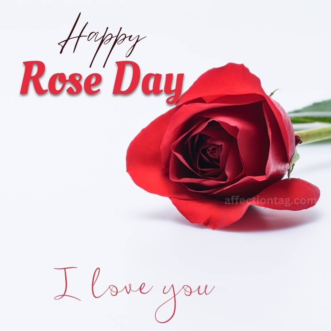 Celebrating Love with Happy Rose Day Images - AffectionTag