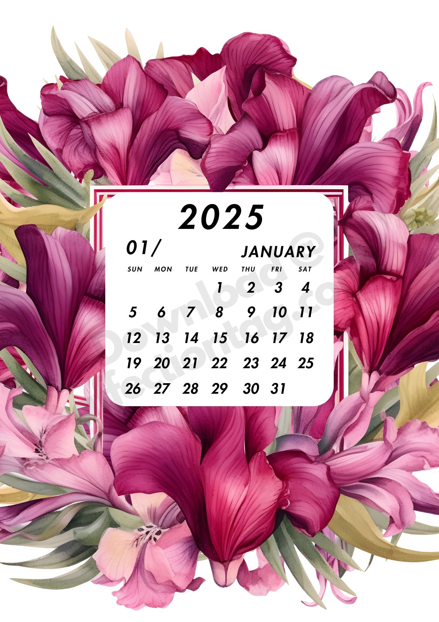Free Printable 2025 Fuchsia Flower Calendar with a Fuchsia Floral Theme ...