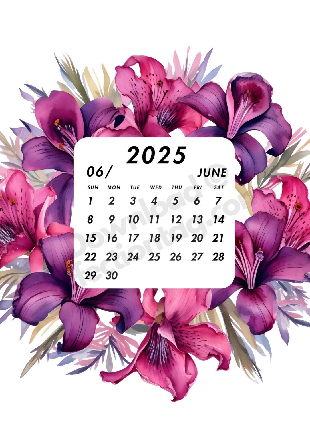 Free Printable 2025 Fuchsia Flower Calendar with a Fuchsia Floral Theme ...