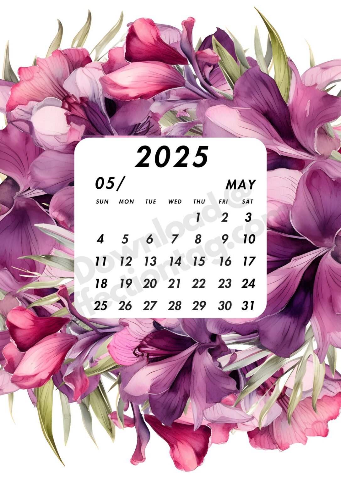 Free Printable 2025 Fuchsia Flower Calendar with a Fuchsia Floral Theme ...