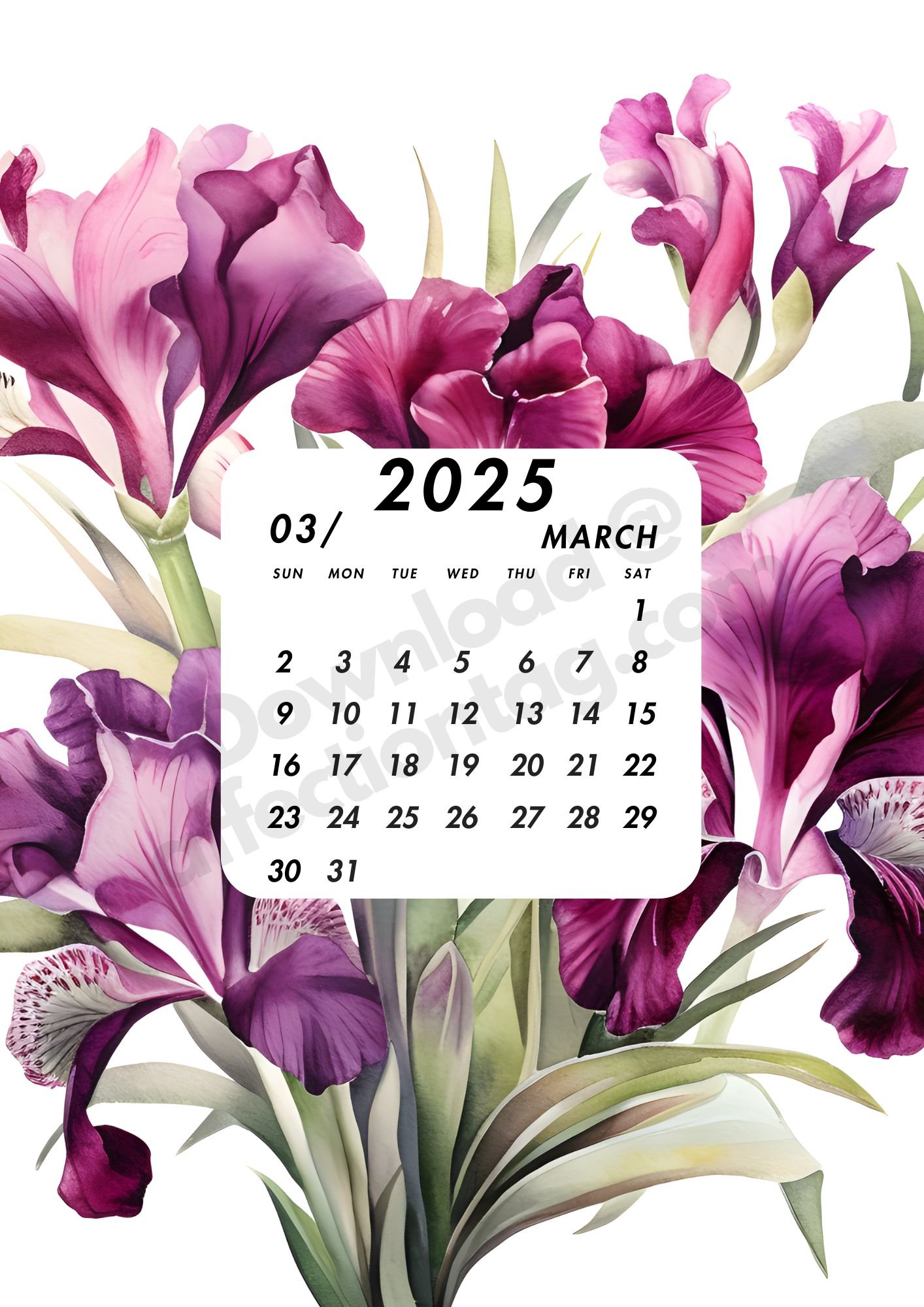 Free Printable 2025 Fuchsia Flower Calendar with a Fuchsia Floral Theme ...